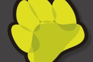 Happzen – Onde Comprar