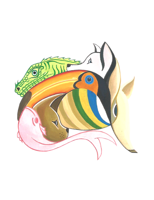 Happzen – Onde Comprar